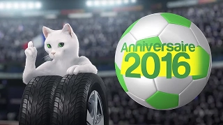 Anniversaire du chat Feu Vert : déjà 20 ans